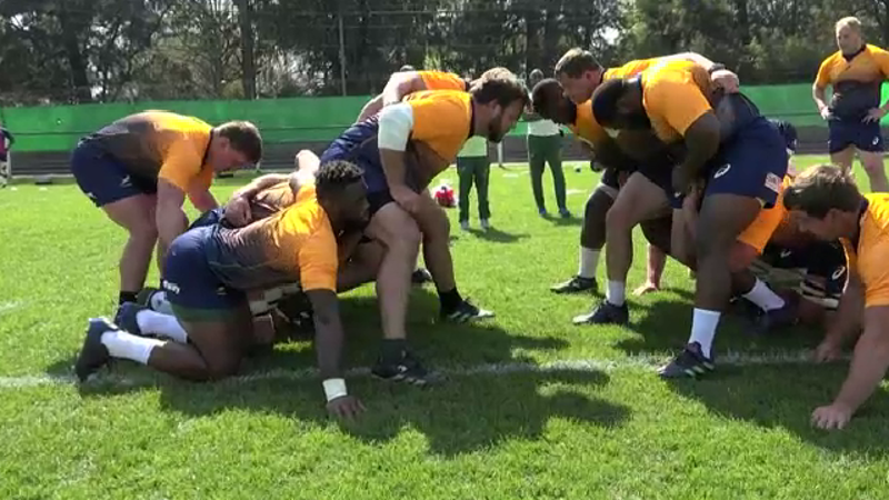 Springboks Videos | SuperSport