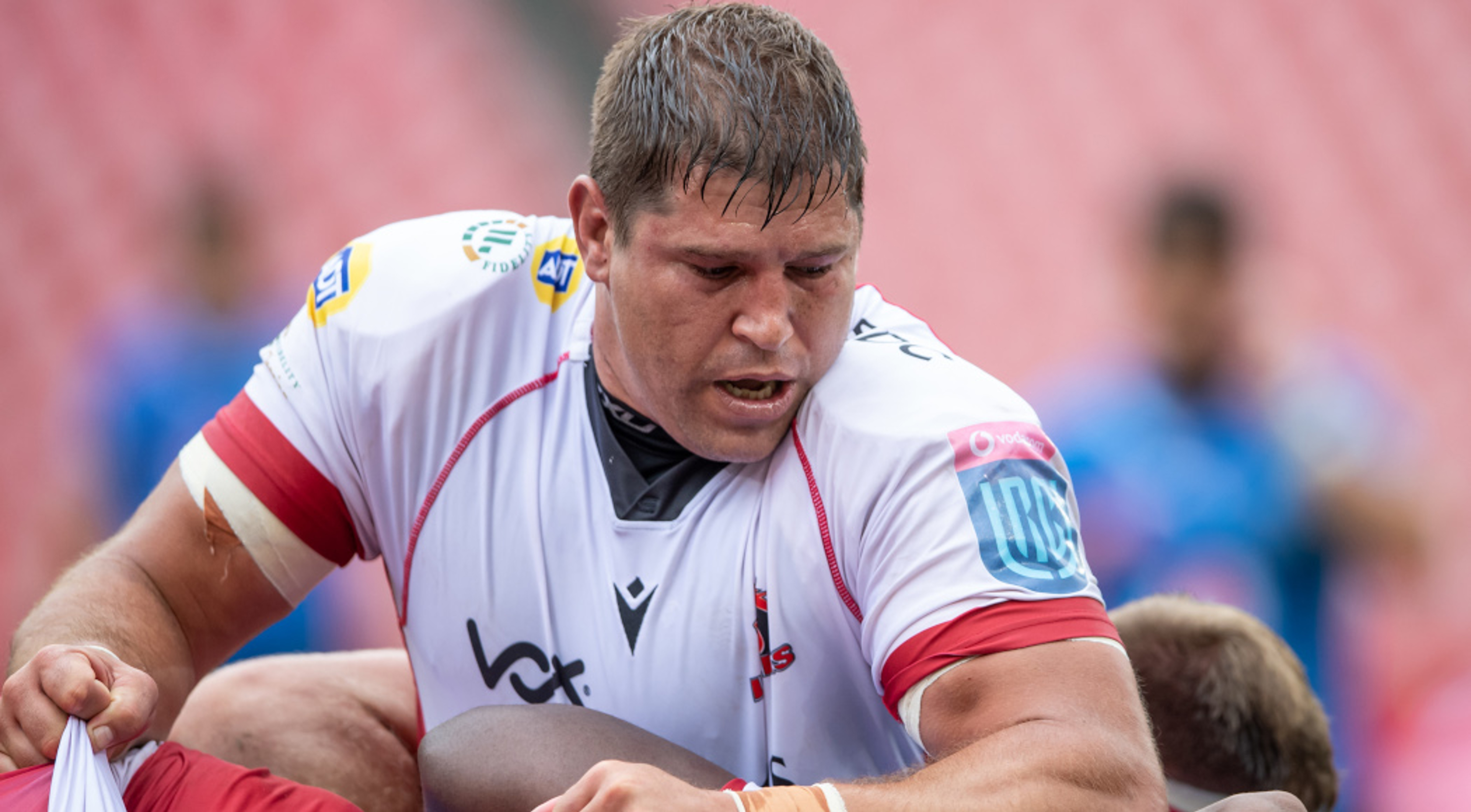 Alberts returns to bolster Lions | SuperSport