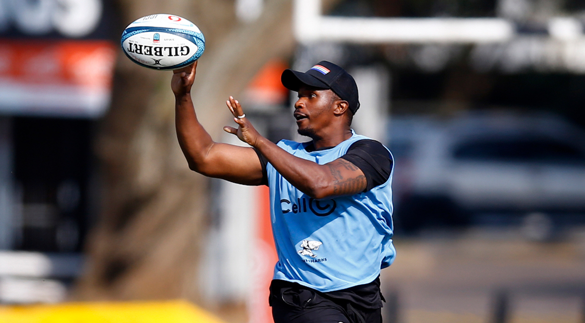 Defence coach high on Bulls post Christmas agenda | SuperSport