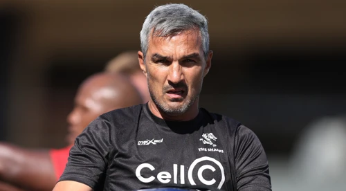 Sharks can use Toulouse experience to galvanise URC challenge | SuperSport