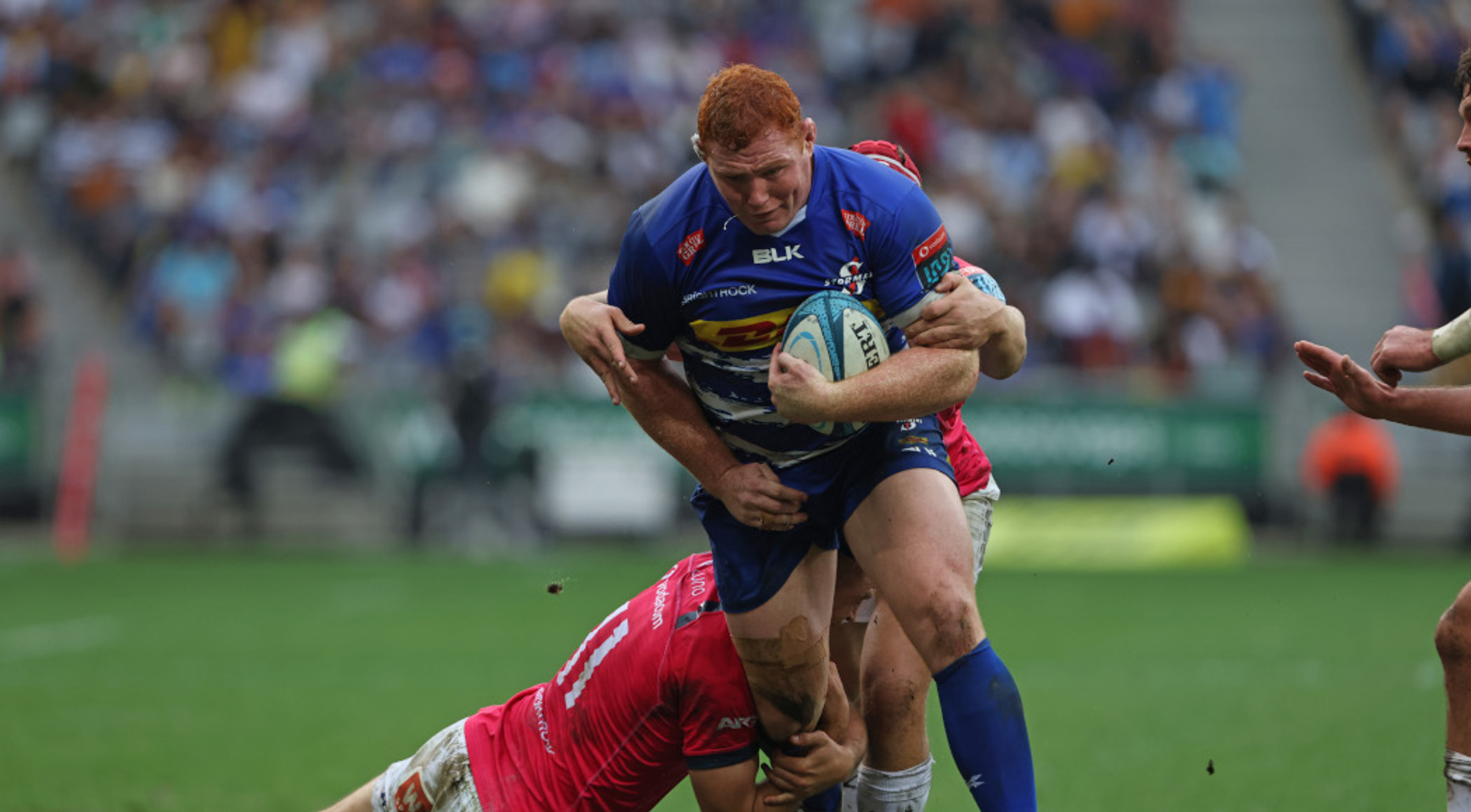 GOODBYE TO A LEGEND: Kitsie's farewell is take two of a possible three ...