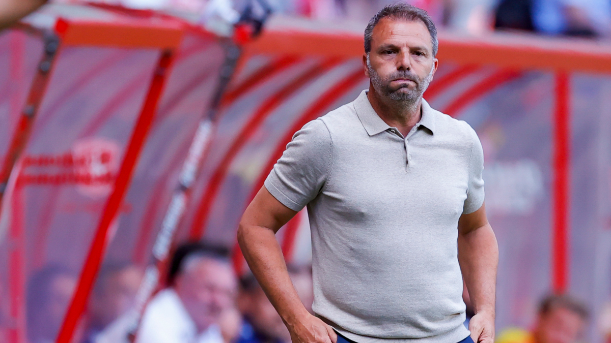 Ajax appoint Steijn as head coach | SuperSport