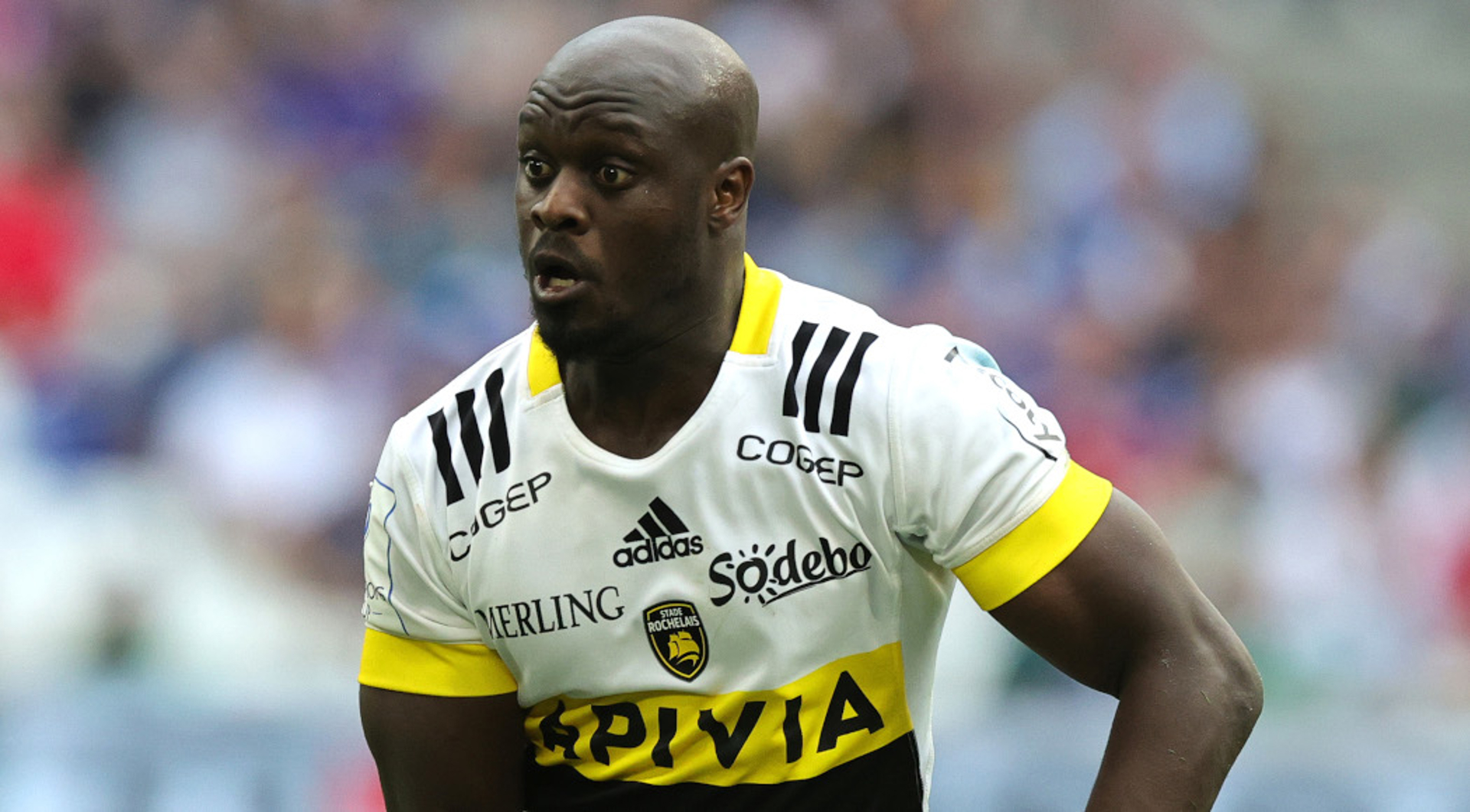 Springbok Rhule's 'special bond' with Leyds key to La Rochelle life ...